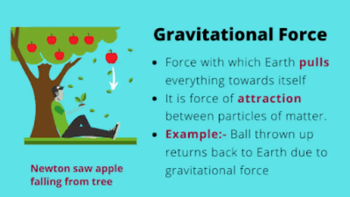 Gravity Force Example