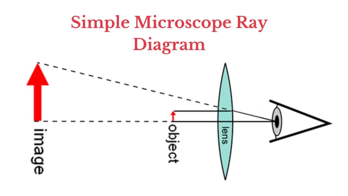 Uses of Convex Lens - PhysicsGoEasy